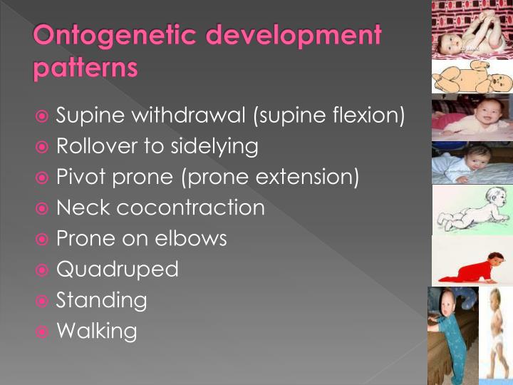 PPT - Approaches to therapeutic exercise: * Rood Approach ...