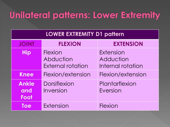 PPT - Approaches to therapeutic exercise: * Rood Approach ...