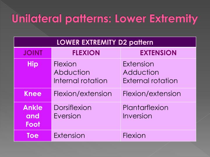 PPT - Approaches to therapeutic exercise: * Rood Approach ...