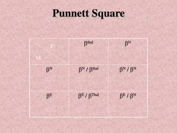 PPT - Thalassemia นพ.ธีระ ภิรมย์สวัสดิ์ PowerPoint Presentation - ID:555368