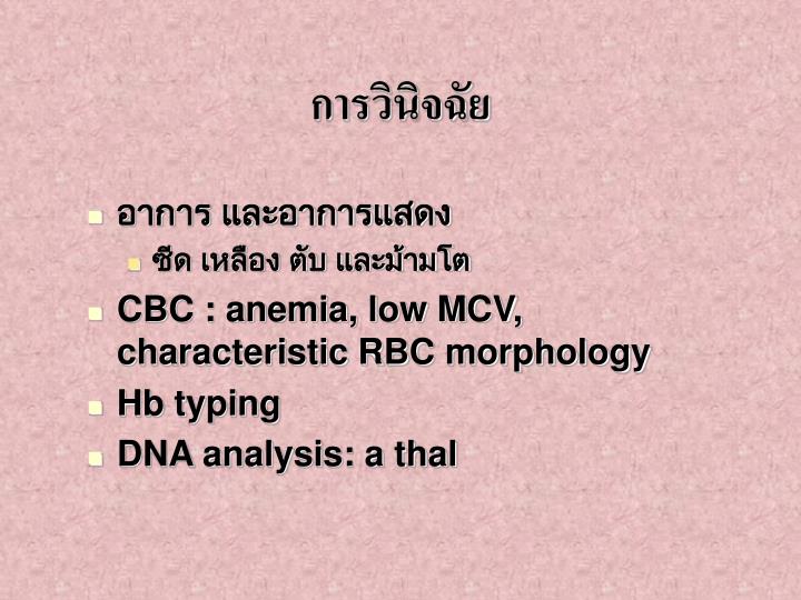 PPT - Thalassemia นพ.ธีระ ภิรมย์สวัสดิ์ PowerPoint Presentation - ID:555368