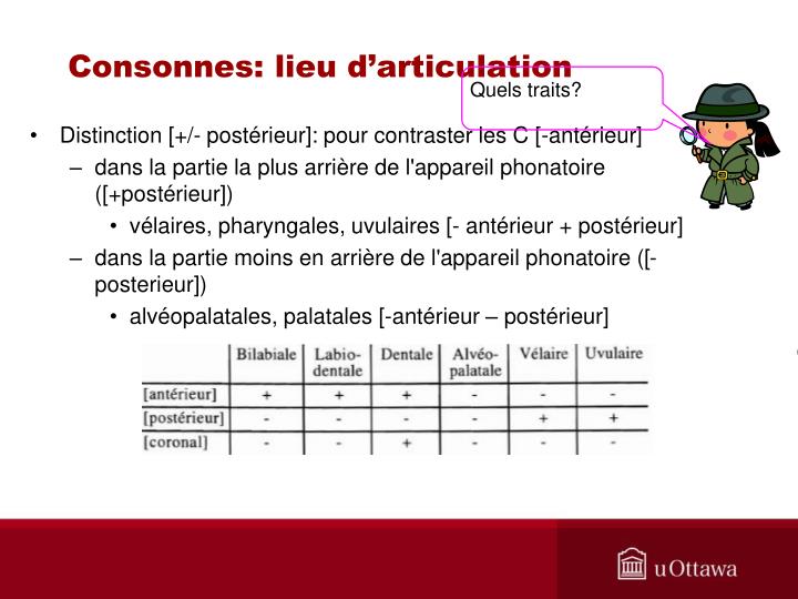 PPT - LIN1720 cours 11 Traits phonologiques PowerPoint Presentation - ID:555986