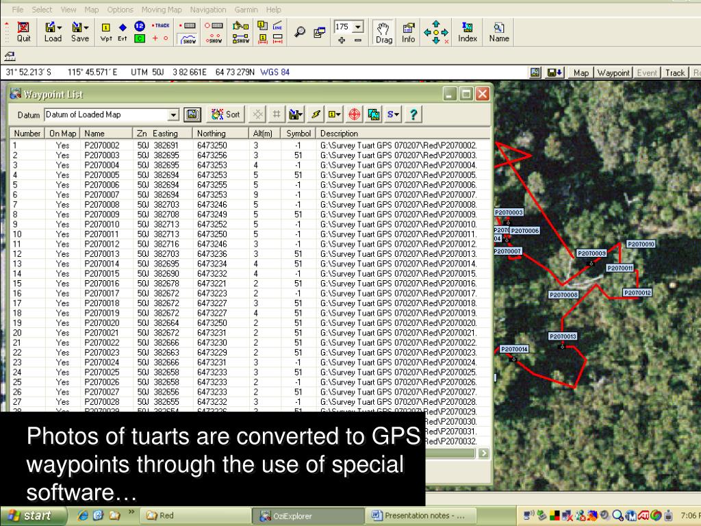 PPT - Friends of Trigg Bushland Inc. Tuart Project – preliminary report ...