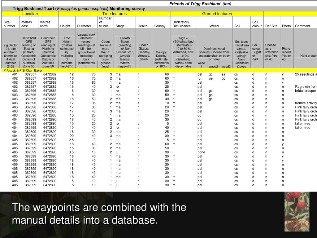 PPT - Tuart Project Preliminary Report Trigg Bushland September 2009 ...