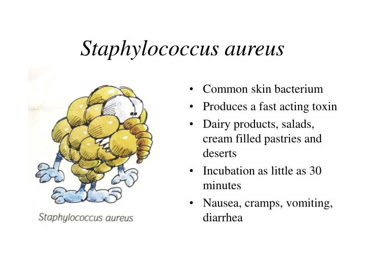 PPT - The 12 “Most Unwanted” Bacteria PowerPoint Presentation - ID:558543