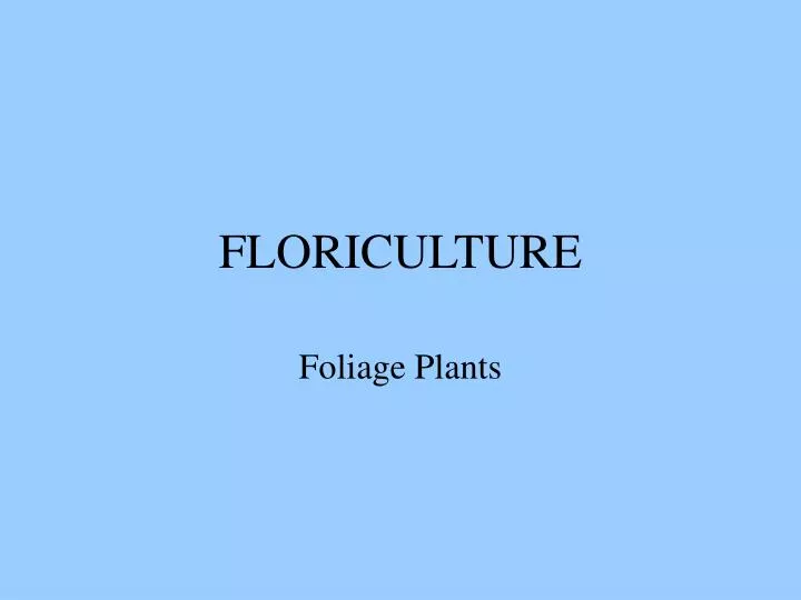 PPT - FLORICULTURE PowerPoint Presentation, free download - ID:559270
