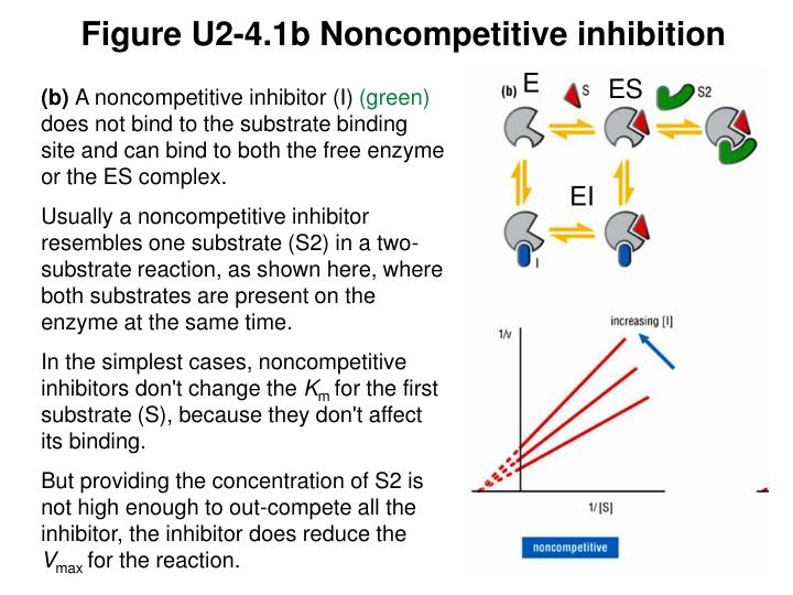PPT - Lecture 16 PowerPoint Presentation - ID:559678