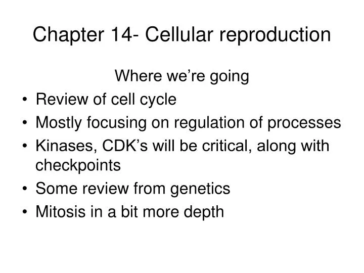 PPT - Chapter 14- Cellular reproduction PowerPoint Presentation, free ...