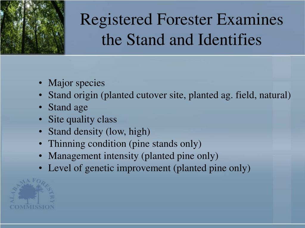 PPT - CARBON SEQUESTRATION in FORESTS PowerPoint Presentation, free ...
