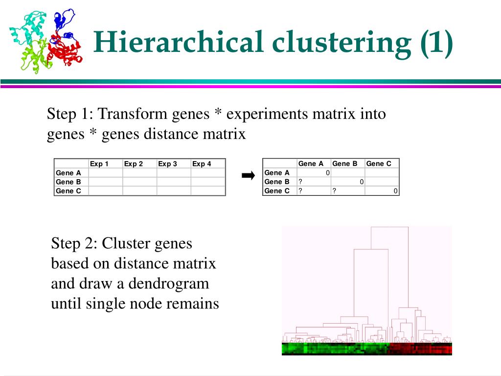 Ppt Clustering Analysis Of Microarray Gene Expression Data Powerpoint Presentation Id562186