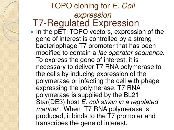 PPT - TOPO CLONING PowerPoint Presentation - ID:562748
