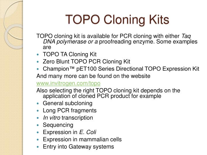 PPT - TOPO CLONING PowerPoint Presentation - ID:562748