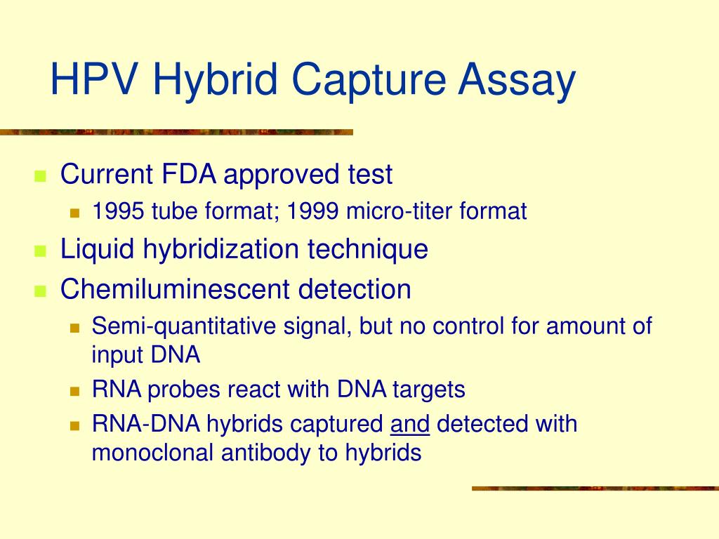 PPT - Human Papillomaviruses: Natural History and Virology PowerPoint ...