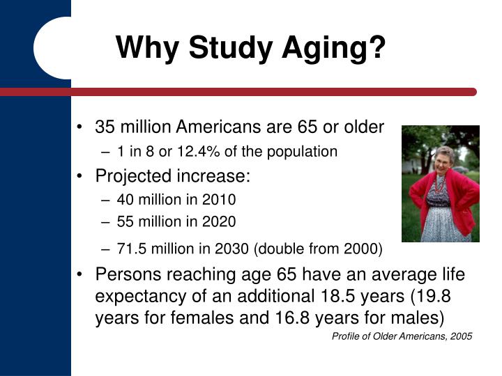 PPT - Online Gerontology PowerPoint Presentation - ID:563356