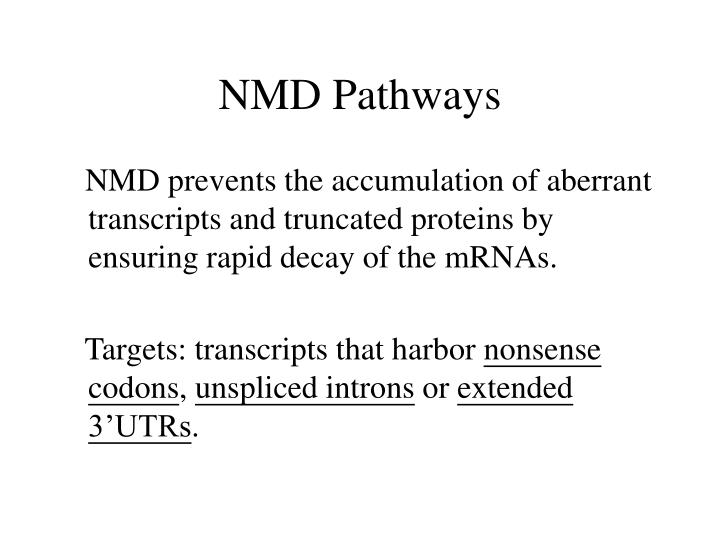 PPT - Stability of mRNA PowerPoint Presentation - ID:564030