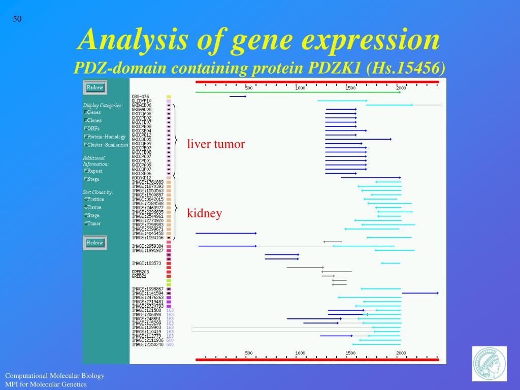 PPT - DNA sequence analysis Gene prediction PowerPoint Presentation ... PPT - DNA sequence analysis Gene prediction PowerPoint Presentation ...