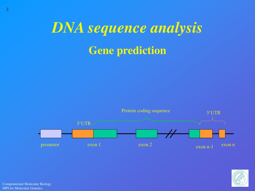 PPT - DNA sequence analysis Gene prediction PowerPoint Presentation ... PPT - DNA sequence analysis Gene prediction PowerPoint Presentation ...