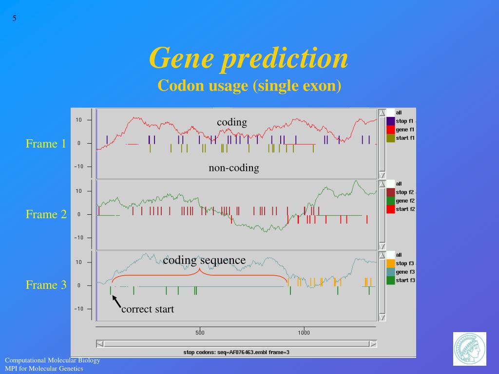 PPT - DNA sequence analysis Gene prediction PowerPoint Presentation ... PPT - DNA sequence analysis Gene prediction PowerPoint Presentation ...