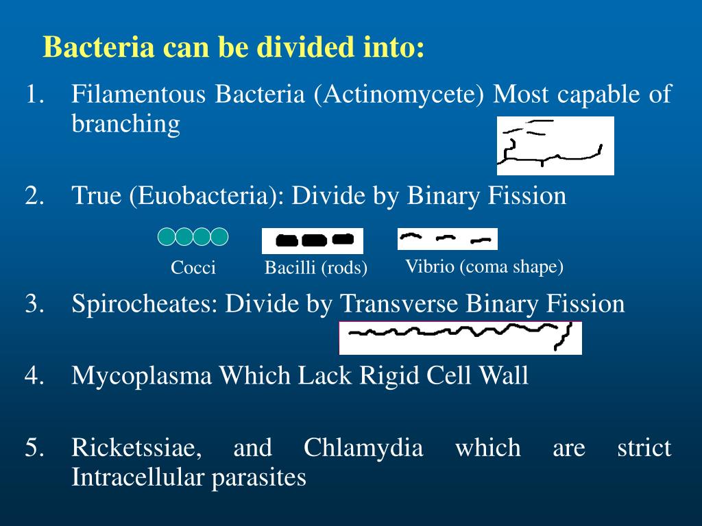 PPT - Medical Microbiology (Biology of Small Organisms) PowerPoint ...