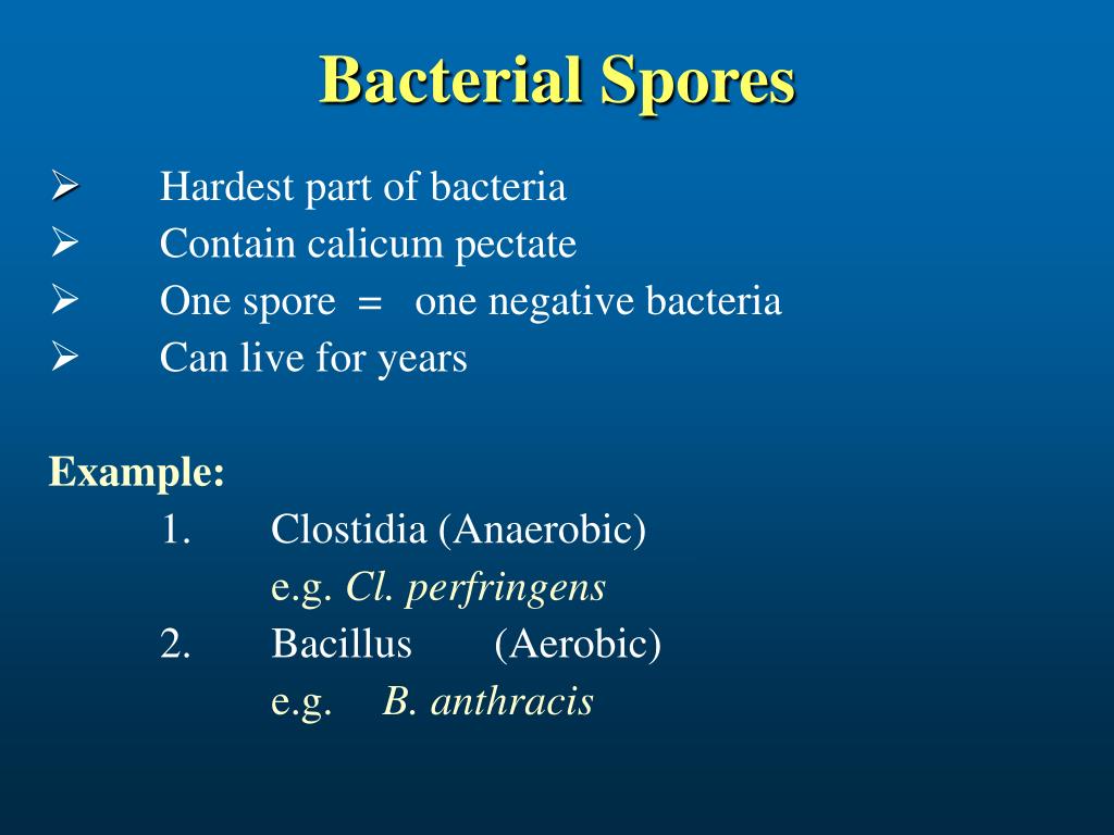 PPT - Medical Microbiology (Biology of Small Organisms) PowerPoint ...