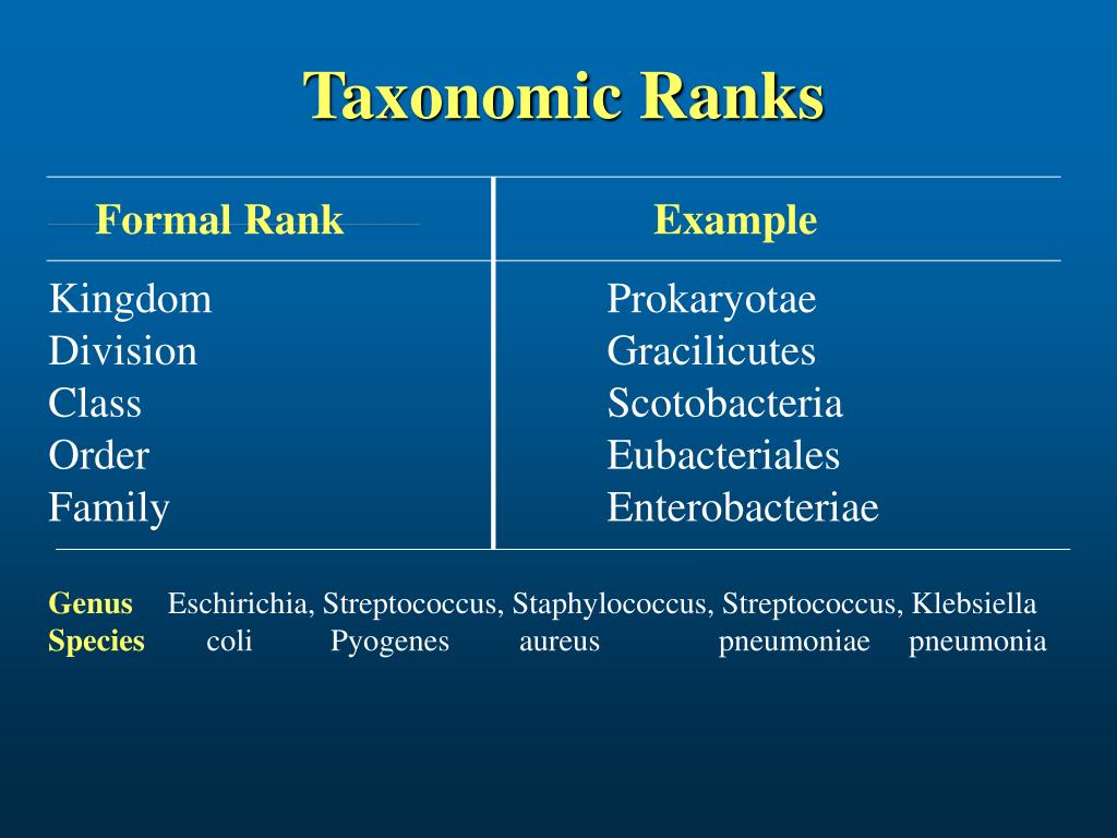 PPT - Medical Microbiology (Biology of Small Organisms) PowerPoint ...