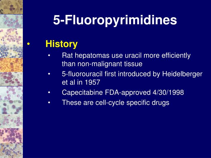 PPT - Introduction to Conventional Chemotherapy PowerPoint Presentation ...