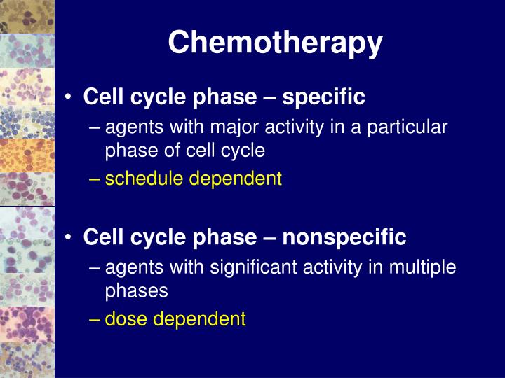 PPT - Introduction to Conventional Chemotherapy PowerPoint Presentation ...
