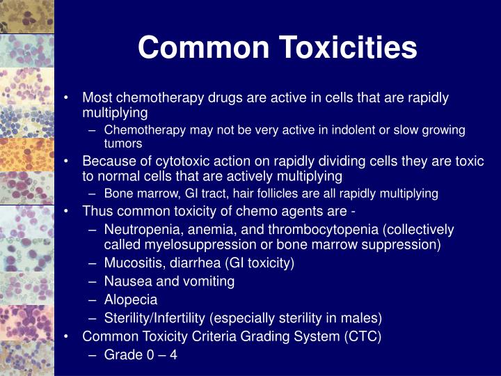PPT - Introduction to Conventional Chemotherapy PowerPoint Presentation ...