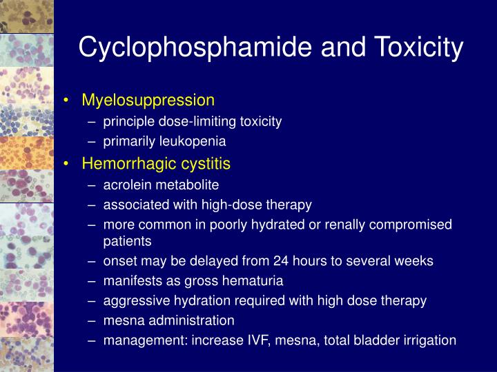 PPT - Introduction to Conventional Chemotherapy PowerPoint Presentation ...