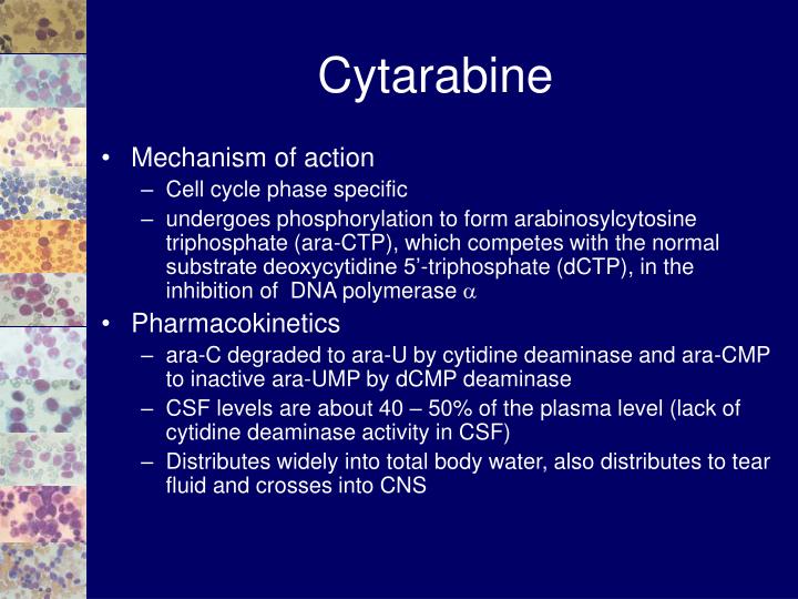 PPT - Introduction to Conventional Chemotherapy PowerPoint Presentation ...