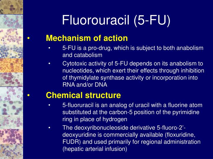 PPT - Introduction to Conventional Chemotherapy PowerPoint Presentation ...