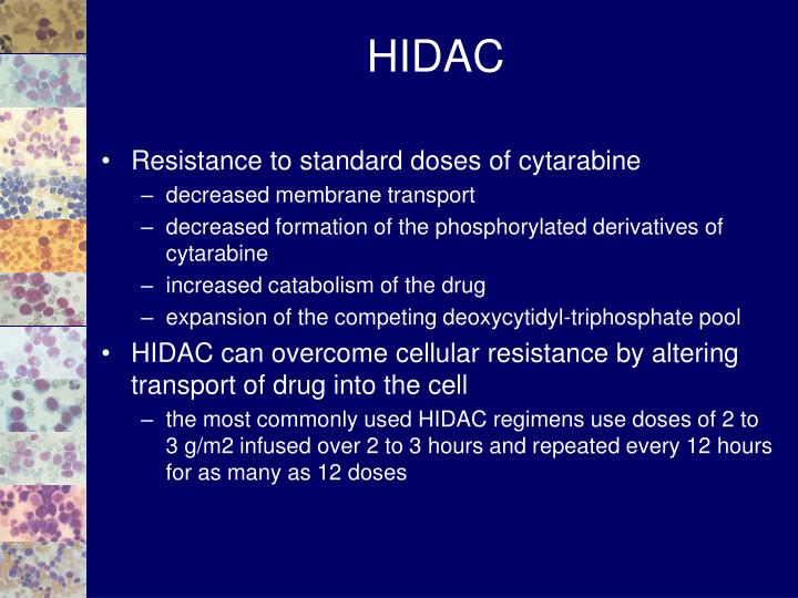 PPT - Introduction to Conventional Chemotherapy PowerPoint Presentation ...