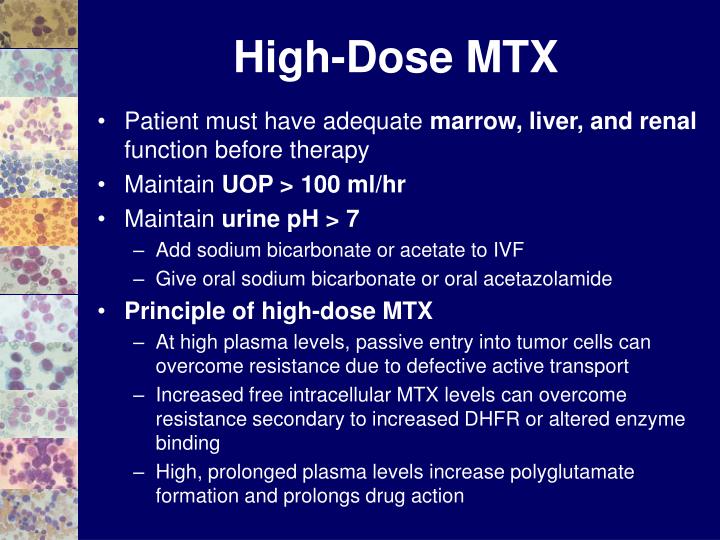 PPT - Introduction to Conventional Chemotherapy PowerPoint Presentation ...