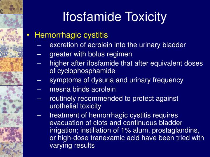 PPT - Introduction to Conventional Chemotherapy PowerPoint Presentation ...