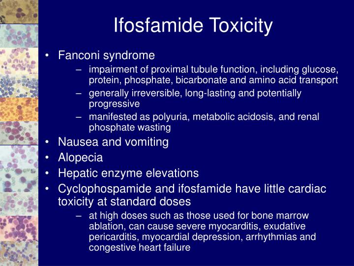 PPT - Introduction to Conventional Chemotherapy PowerPoint Presentation ...