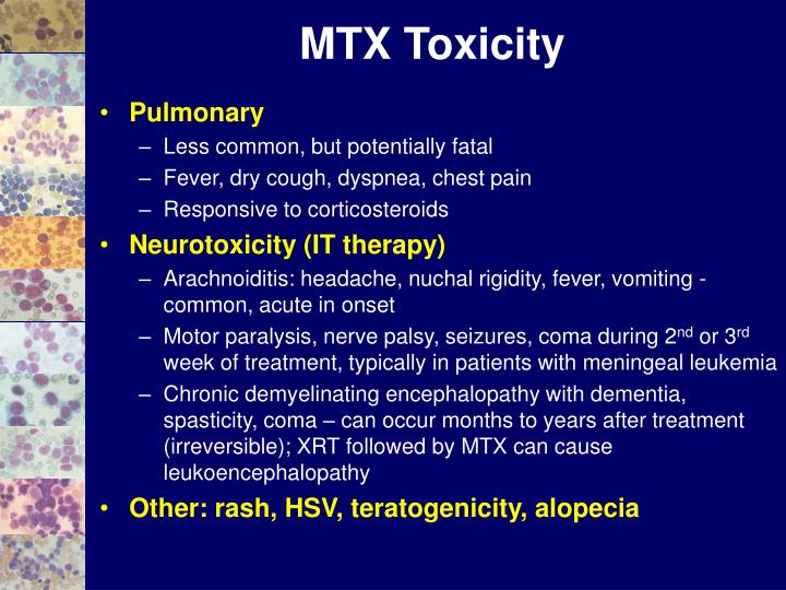 PPT - Introduction to Conventional Chemotherapy PowerPoint Presentation ...