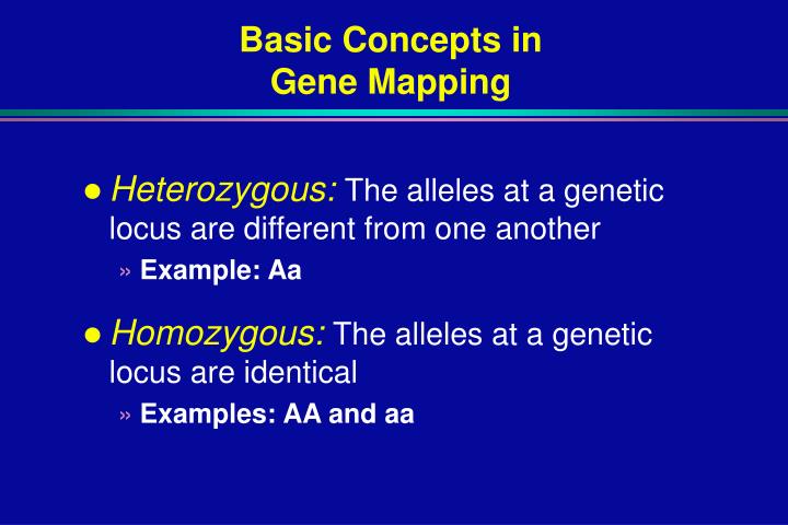 PPT - Major Components of a Gene PowerPoint Presentation - ID:565495
