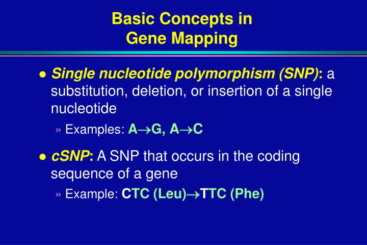 PPT - Major Components of a Gene PowerPoint Presentation - ID:565495