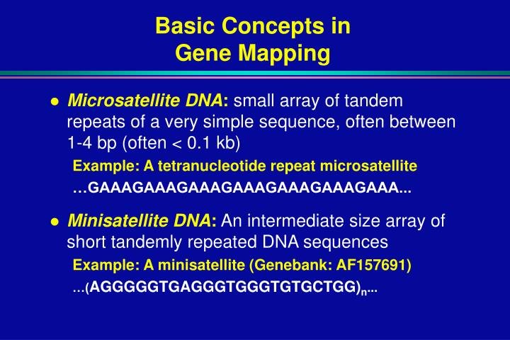 PPT - Major Components of a Gene PowerPoint Presentation - ID:565495