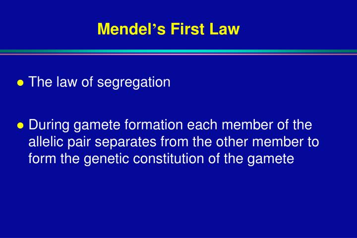 PPT - Major Components of a Gene PowerPoint Presentation - ID:565495