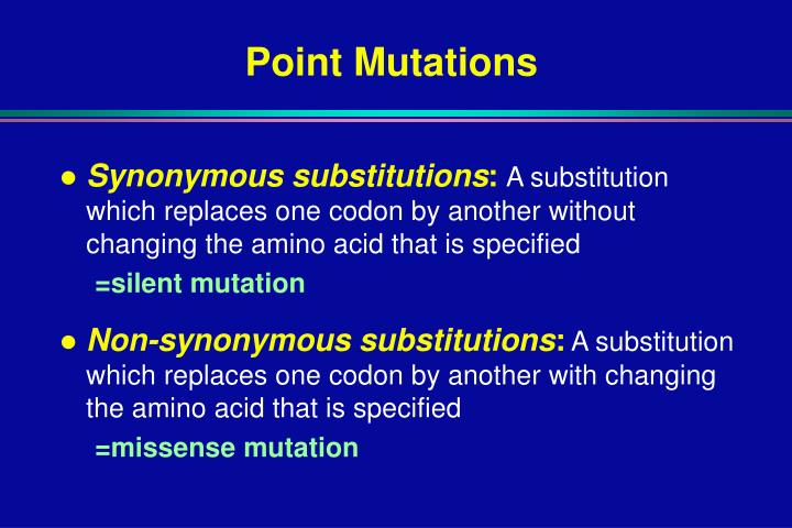 PPT - Major Components of a Gene PowerPoint Presentation - ID:565495