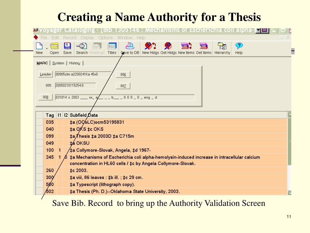 PPT - A& M Libraries Voyager Training Basic Cataloging February 21 ...