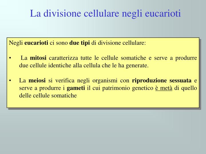 PPT - Divisione cellulare PowerPoint Presentation - ID:568639