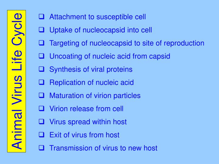 PPT - Chapter 14: Virions, Prions, and Viroids Infectious Agents of ...