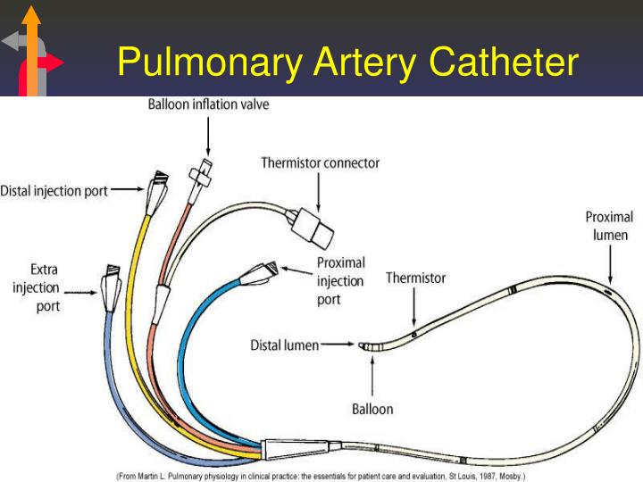 PPT - MODULE F – HEMODYNAMIC MONITORING PowerPoint Presentation - ID:572804