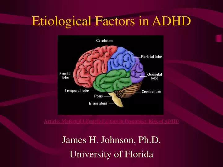 PPT - Etiological Factors in ADHD PowerPoint Presentation, free ...