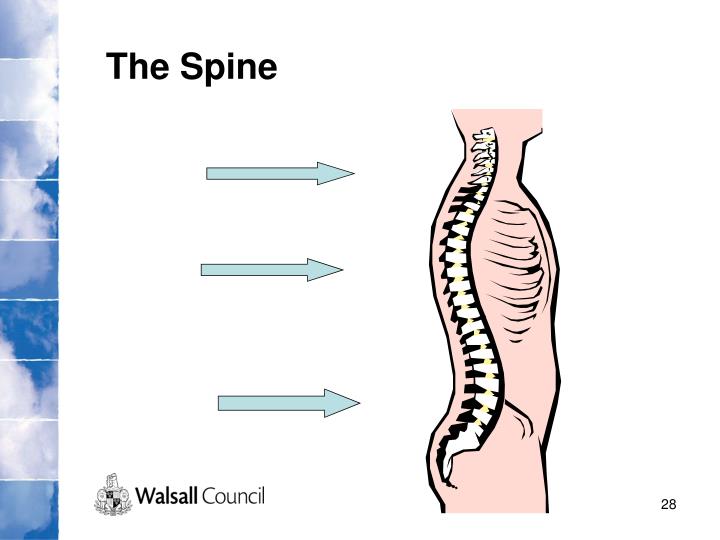 PPT - DSE Assessor Training PowerPoint Presentation - ID:574021