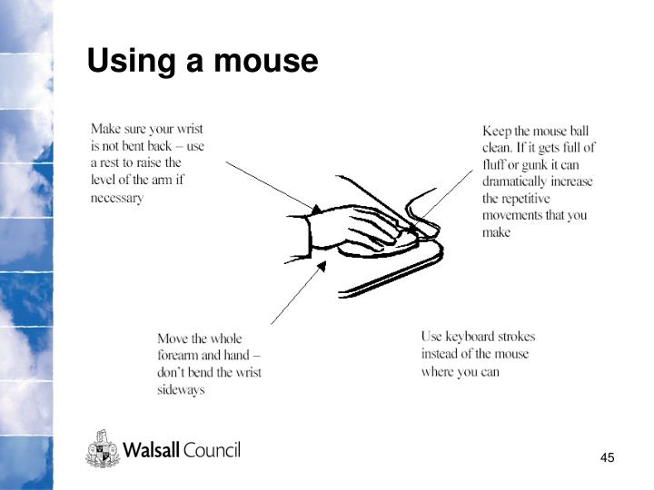 PPT - DSE Assessor Training PowerPoint Presentation - ID:574021