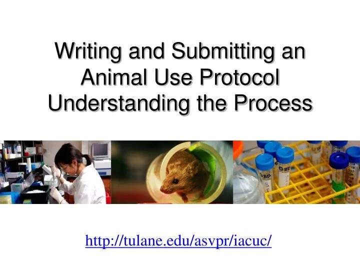 PPT - Writing and Submitting an Animal Use Protocol Understanding the ...