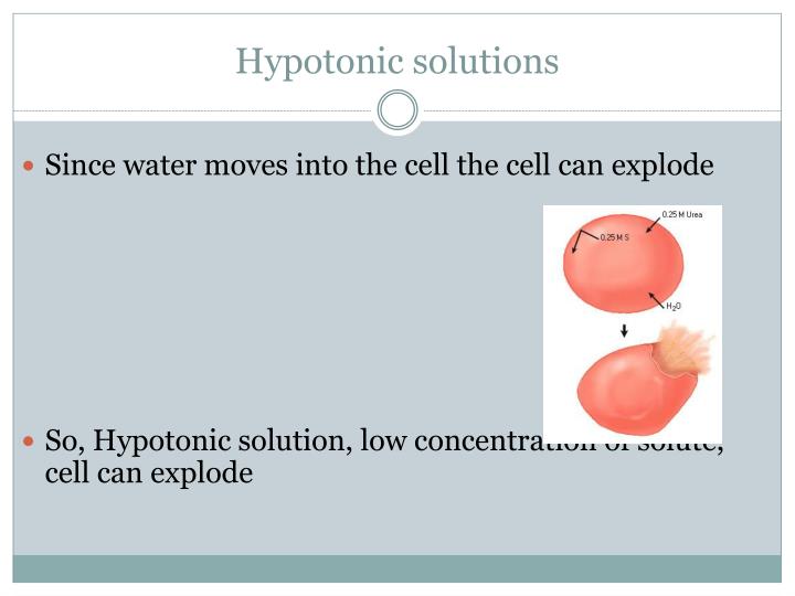 PPT - Cell Membrane Transport Notes PowerPoint Presentation - ID:575905